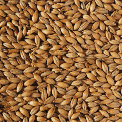 Homebrew Microbrewery | Beer Cider & Wine Kits | All Grain Brewing
