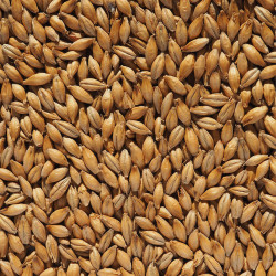 Homebrew Microbrewery | Beer Cider & Wine Kits | All Grain Brewing