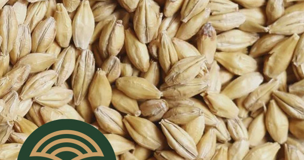 MCI Irish Distilling Malt (EBC 2.5–4) | Get Er Brewed