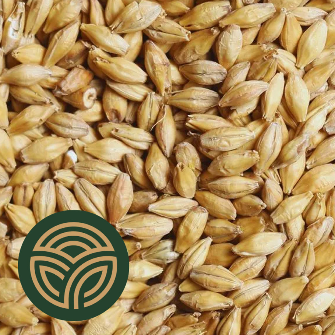MCI Irish Lager Malt (EBC 3–4) | Get Er Brewed