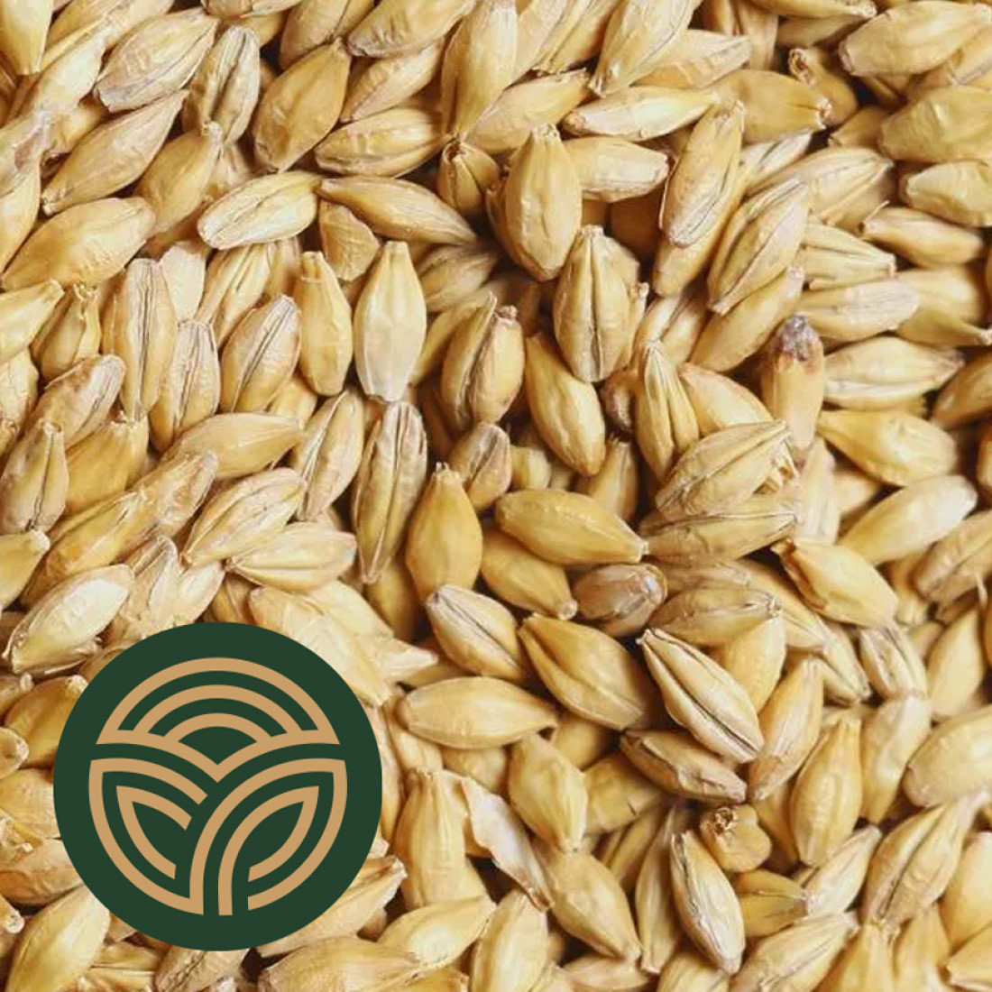 MCI Origin Gold Low-Colour Malt (EBC 2–3.5) | Get Er Brewed