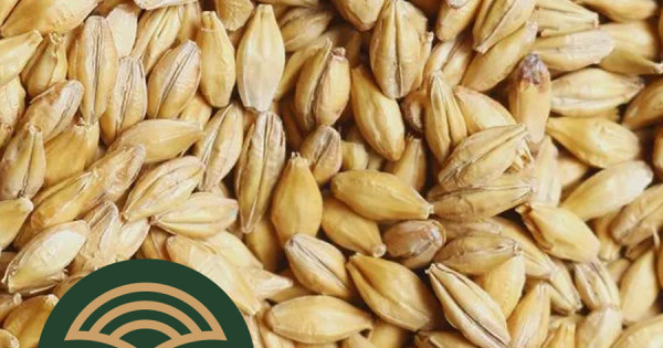 MCI Origin Gold Low-Colour Malt (EBC 2–3.5) | Get Er Brewed