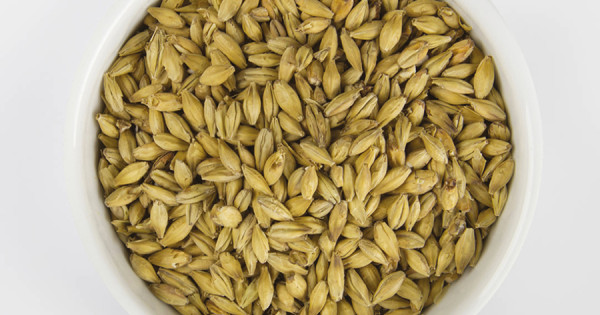 Muntons Craft Pale Ale Malt (EBC 4-6) - Get Er Brewed - Homebrew ...