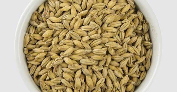 Muntons Planet Extra Pale Ale Malt (EBC 0-4) - Get Er Brewed - Homebrew ...