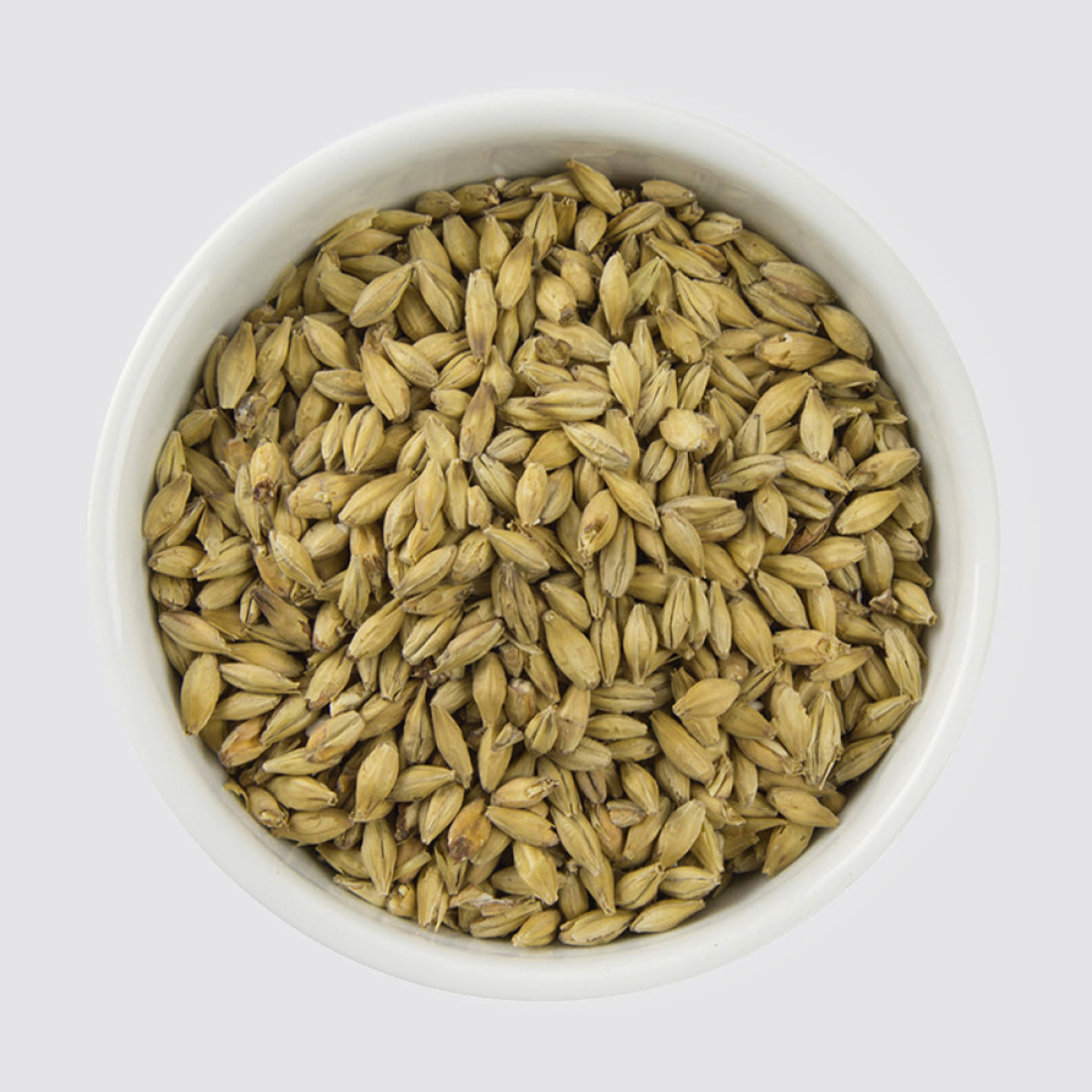 Muntons Planet Pale Ale Malt (EBC 4-6) - Get Er Brewed - Homebrew ...