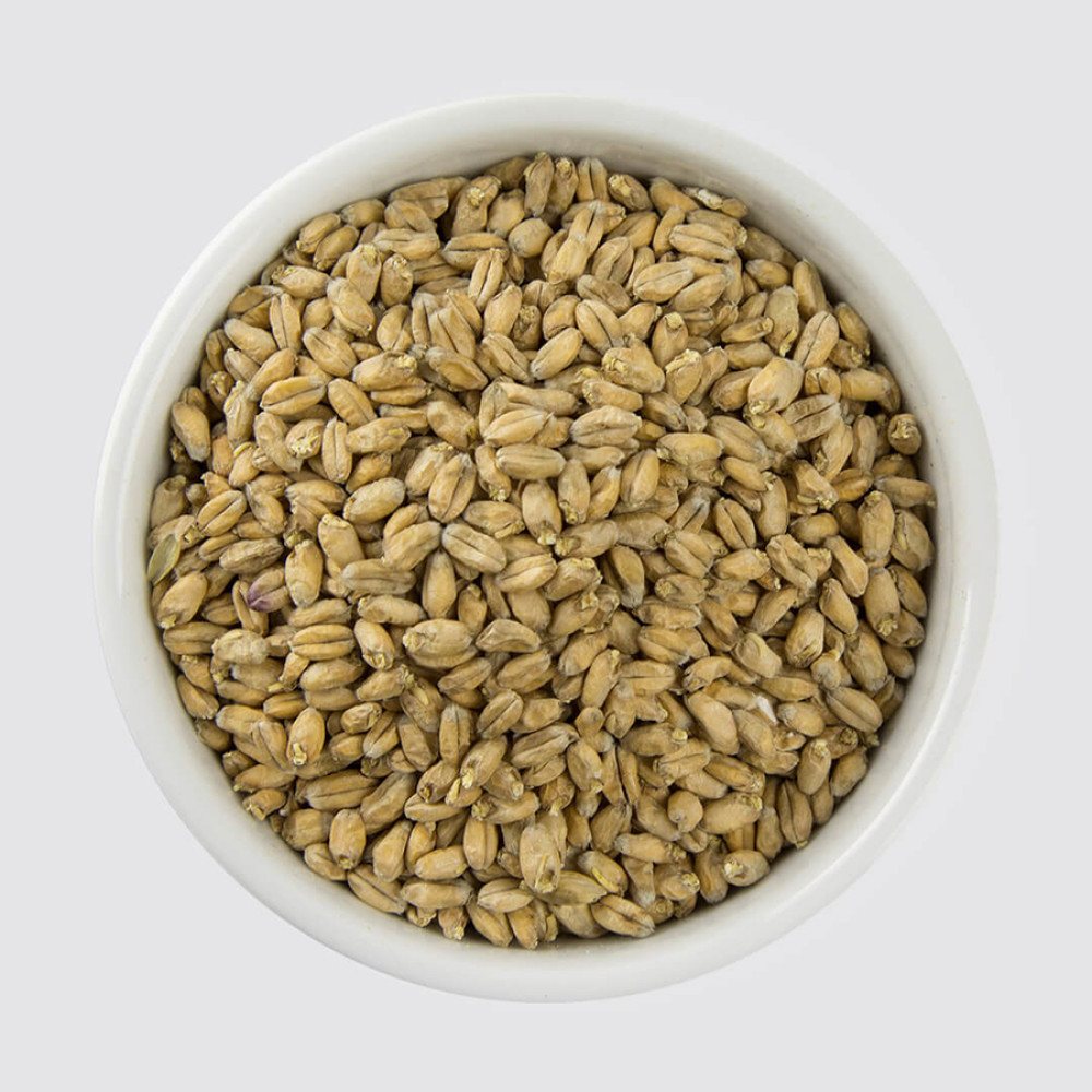 Muntons Wheat Malt (EBC 0-5) - Get Er Brewed - Homebrew & Microbrewery ...