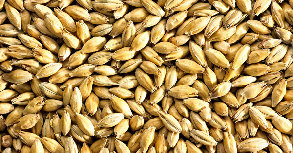 Simpsons Best Pale Ale Malt (EBC 4-6) - Get Er Brewed - Homebrew ...
