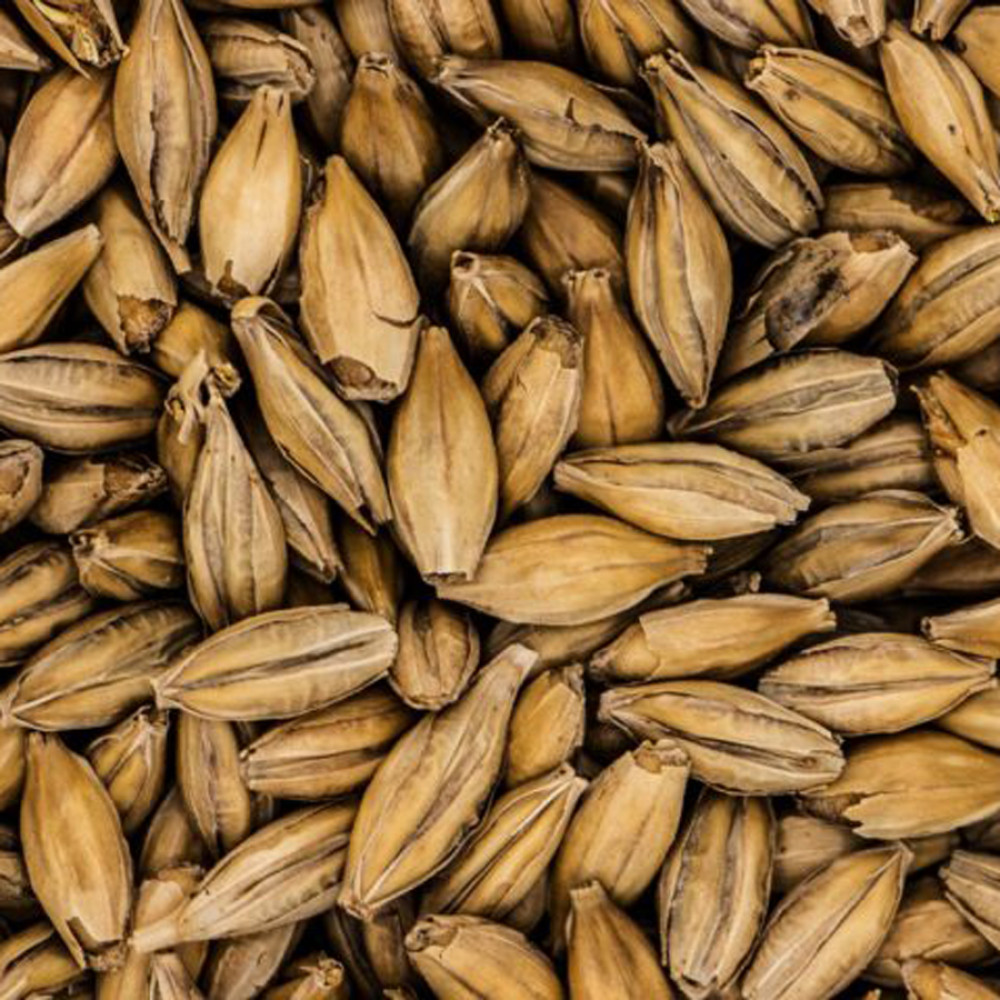 Simpsons Chit Malt (EBC 2.5-3.5) - Get Er Brewed - Homebrew ...