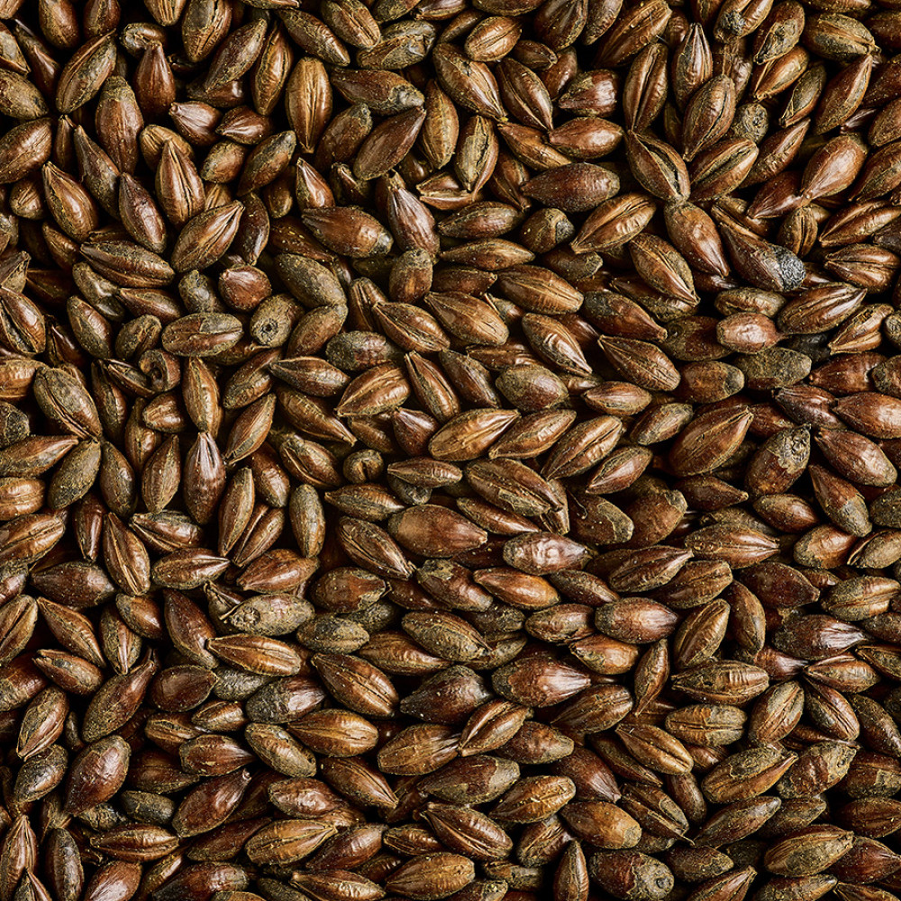 Simpsons Chocolate Malt (EBC 1067-1300) - Get Er Brewed - Homebrew ...