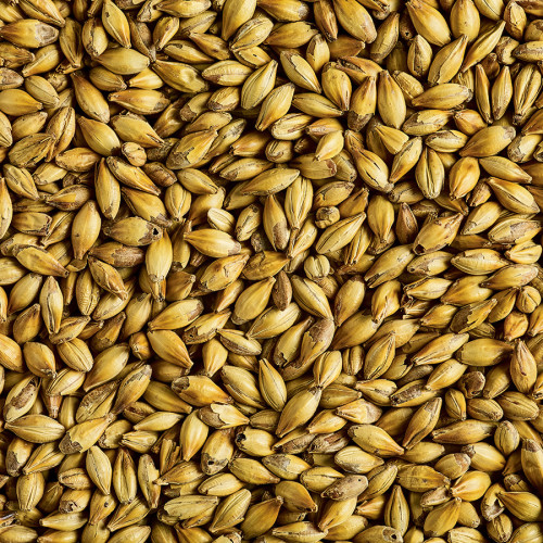 Simpsons Malt