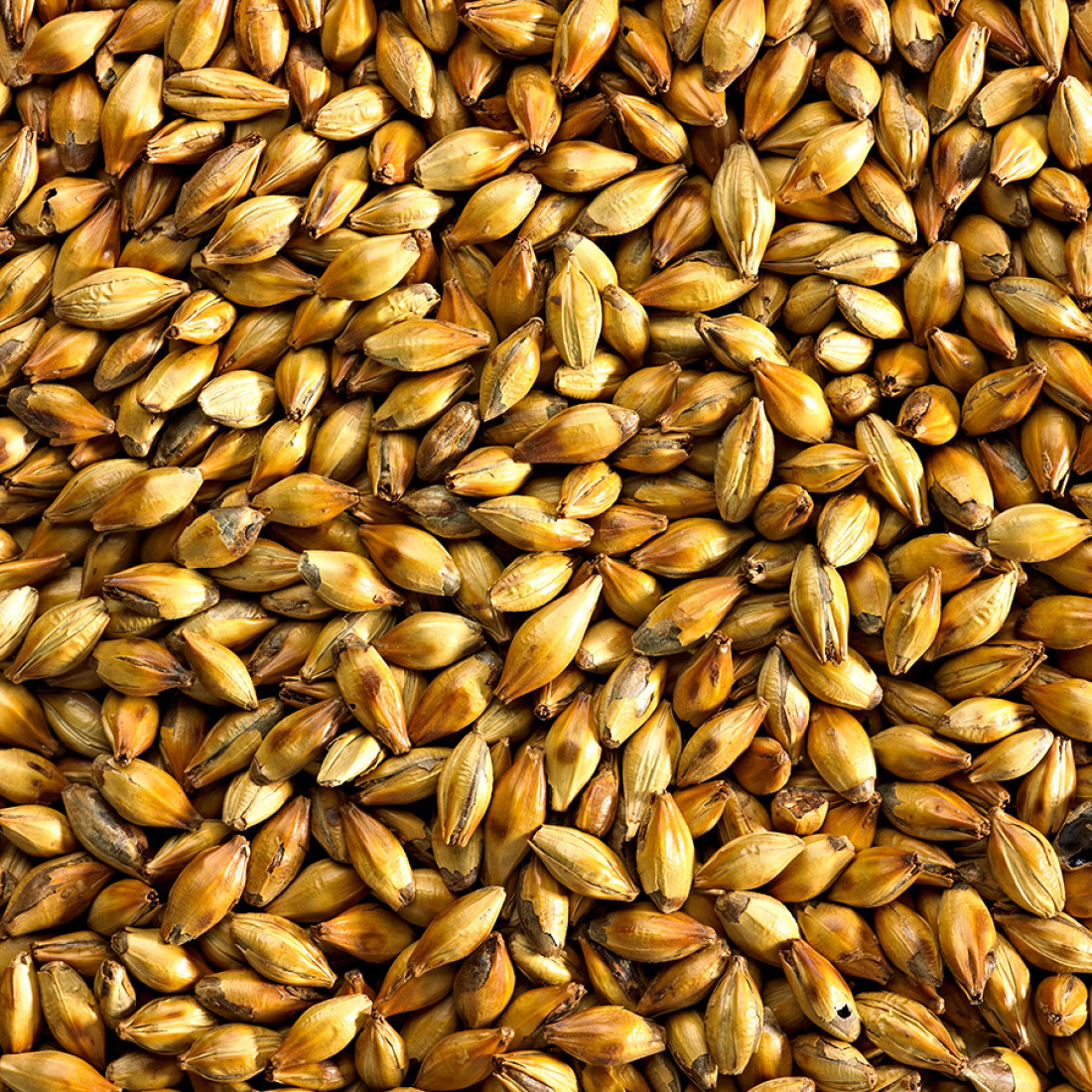 Simpsons Crystal Dark Malt (EBC 250-285) - Get Er Brewed - Homebrew ...
