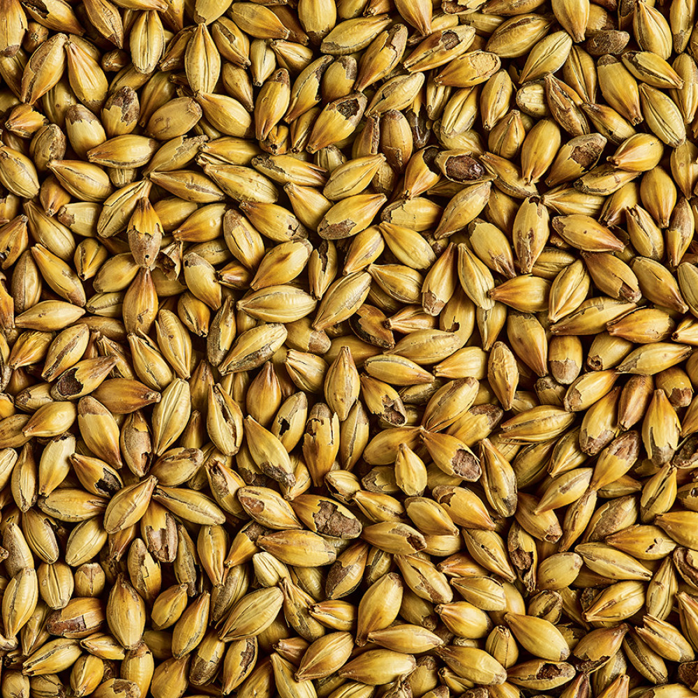 Simpsons DRC Malt (EBC 280-320) - Get Er Brewed - Homebrew ...
