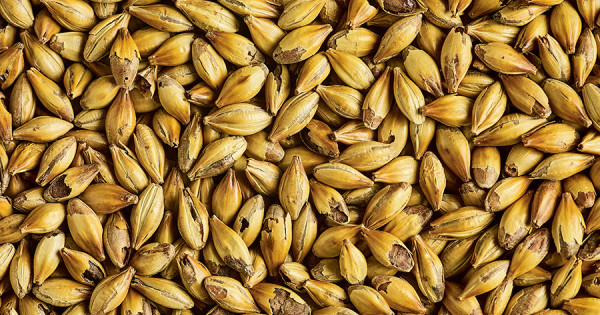 Simpsons DRC Malt (EBC 280-320) - Get Er Brewed - Homebrew ...