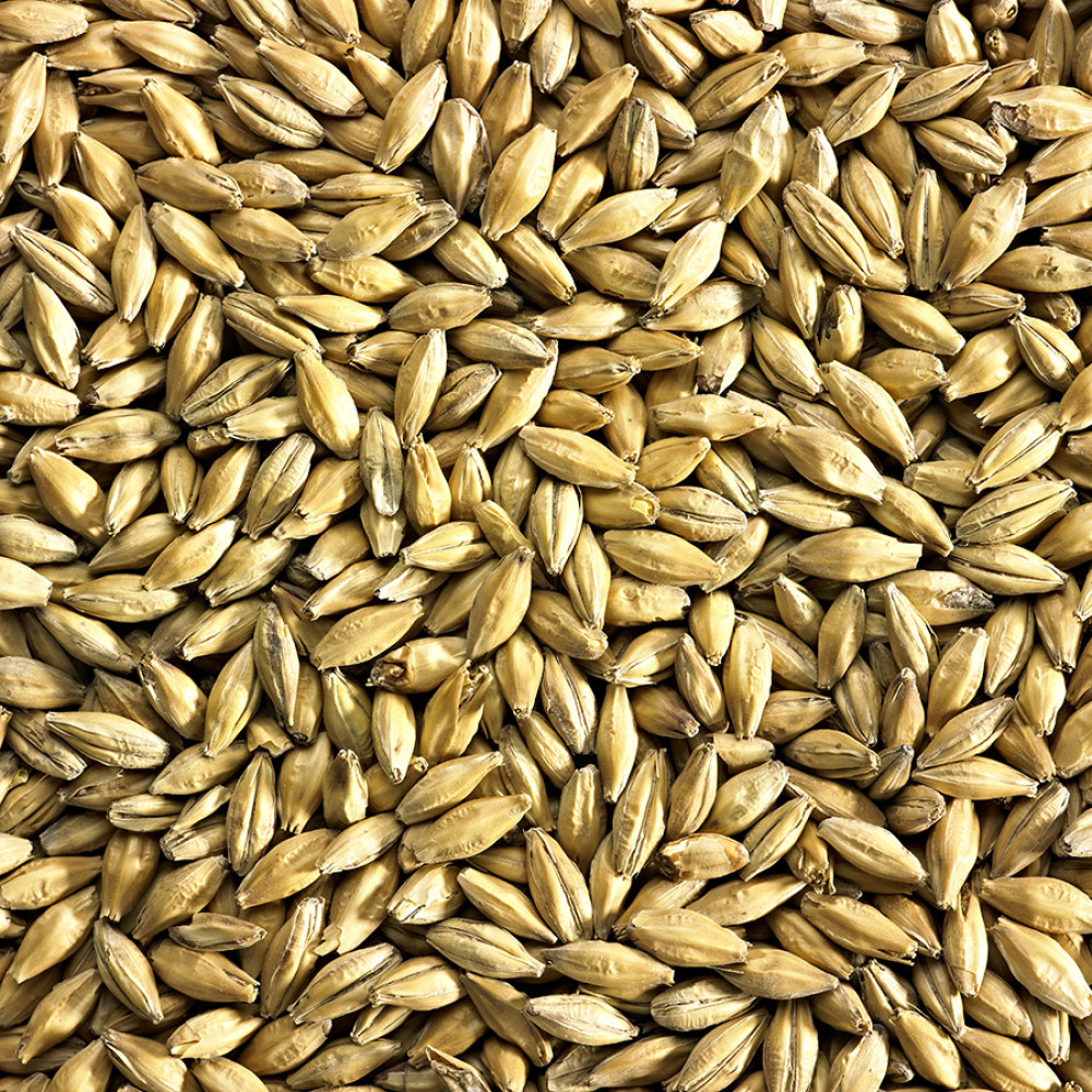 Simpsons Extra Pale Ale Malt (EBC 2.5-3.5) - Get Er Brewed - Homebrew ...