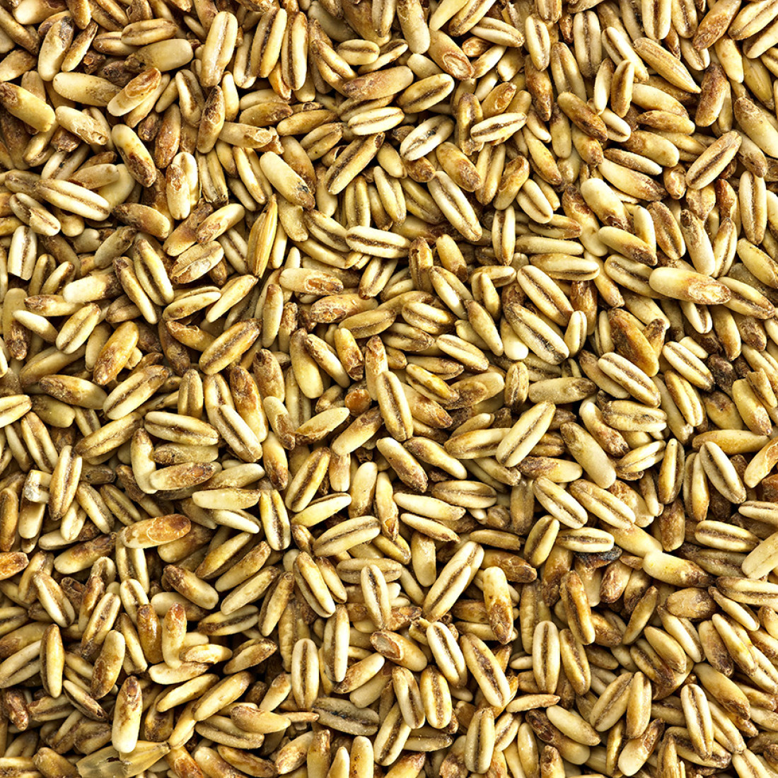 Simpsons Golden Naked Oats (EBC 12-24) - Get Er Brewed - Homebrew ...
