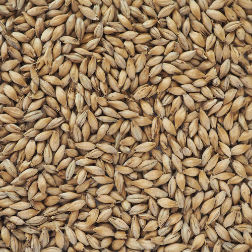 Weyermann® Abbey Malt (EBC 40-50)